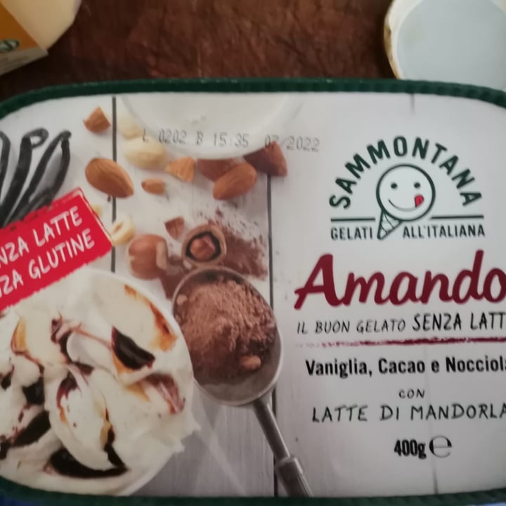 Sammontana Amando Vaniglia Cacao e Nocciola 400g Tub Review | abillion