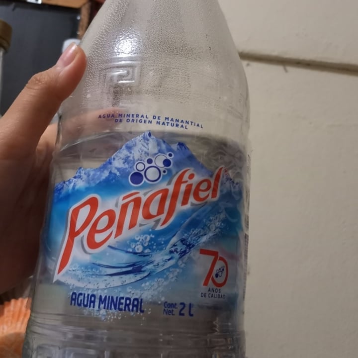 Peñafiel Agua Mineral de Manantial Sifón 1.75 L Review | abillion