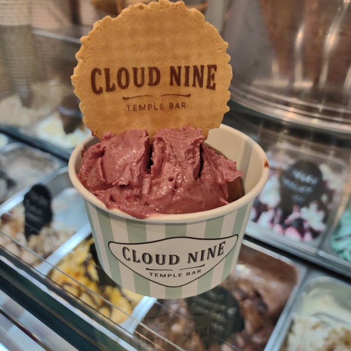 Cloud Nine Temple Bar Temple Bar, Ireland Vegan Ice Cream Review | abillion