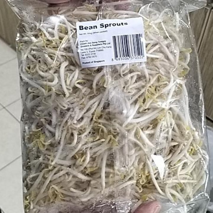 Giant Supermarket Bean Spouts Review | abillion