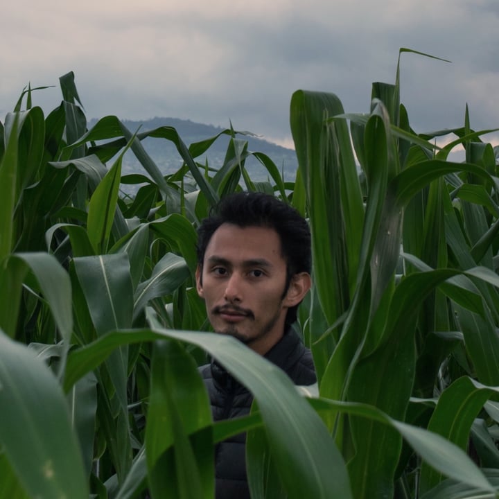 aarton (@aarton) | abillion