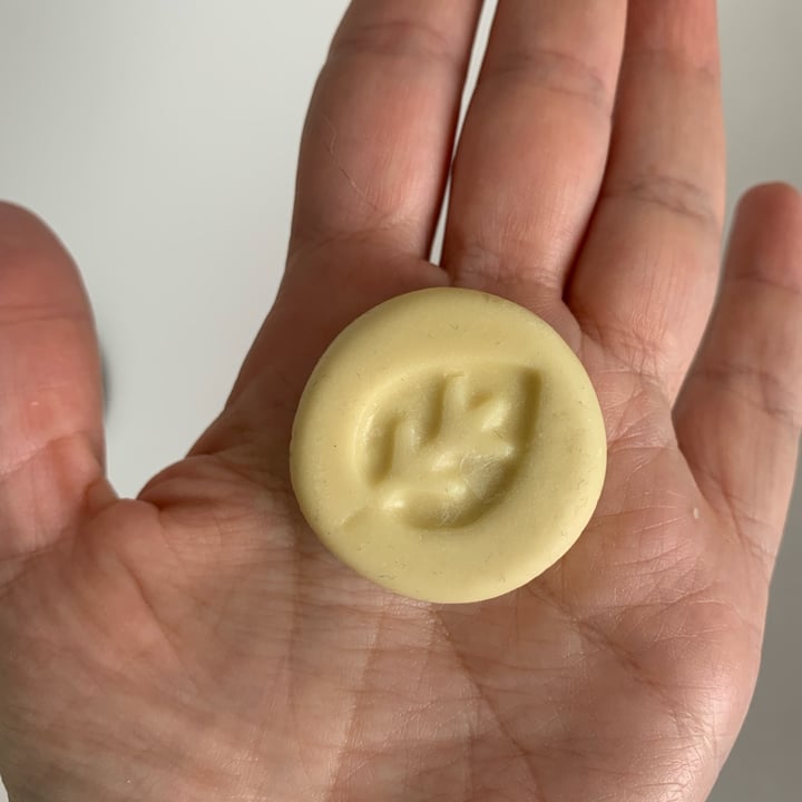LUSH Fresh Handmade Cosmetics Charity Pot Coin Naked Body Lotion Review ...