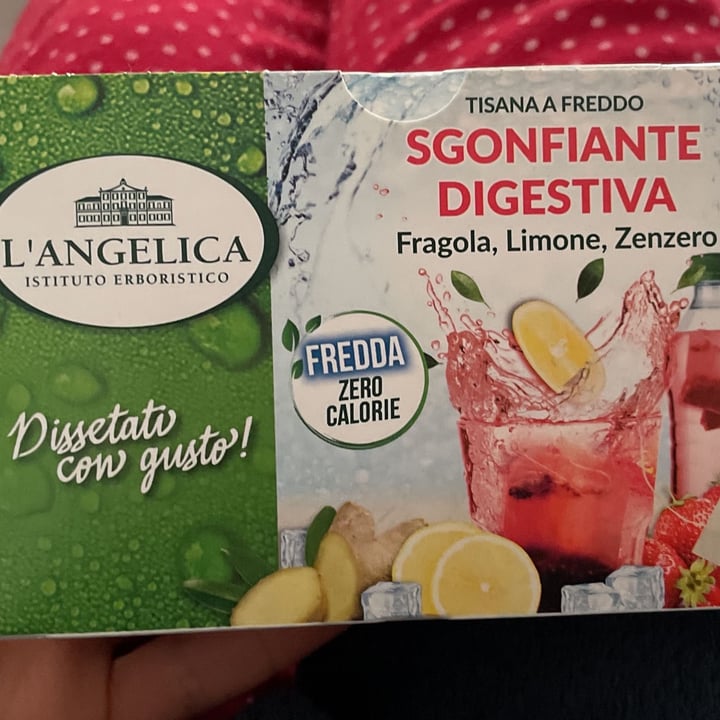 L'angelica Tisana a freddo digestiva e sgonfiante Review | abillion