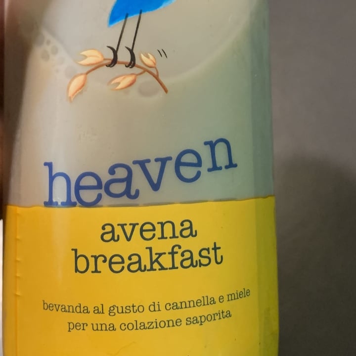 Heaven avena breakfast al gusto di cannella e miele Review | abillion
