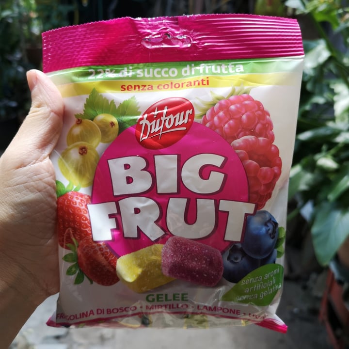 Dufour Big Frut Review | abillion