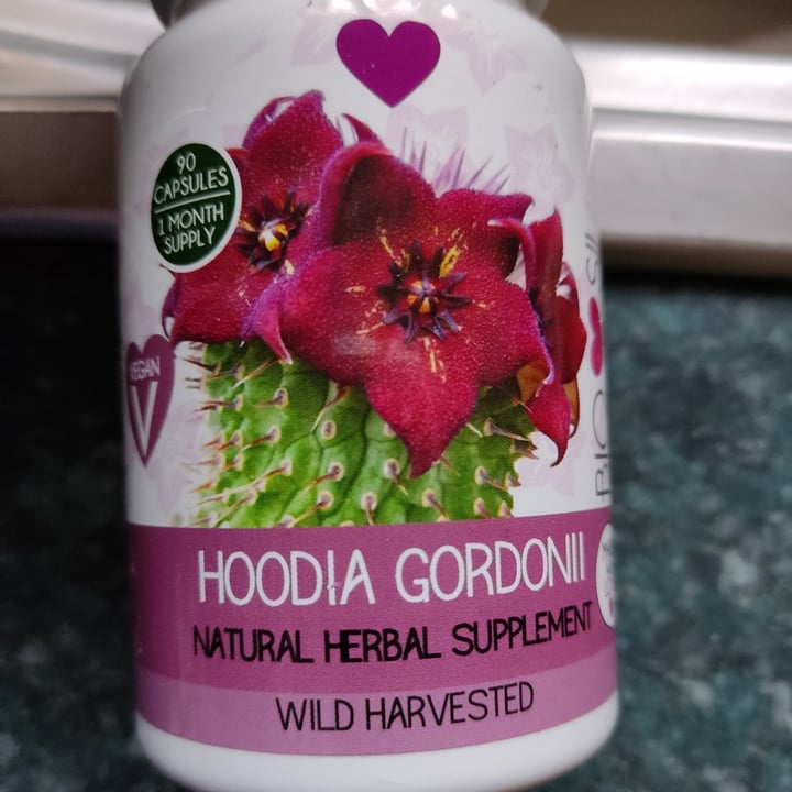 Biosil hoodia gordonii Review | abillion