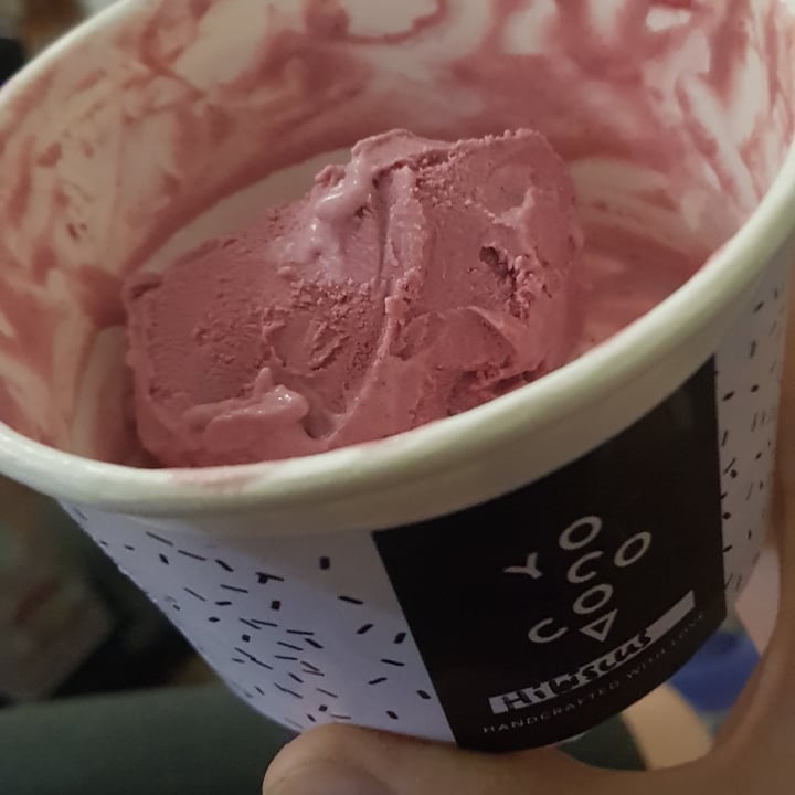 Yococo (SA) Hibiscus Ice Cream Review | abillion