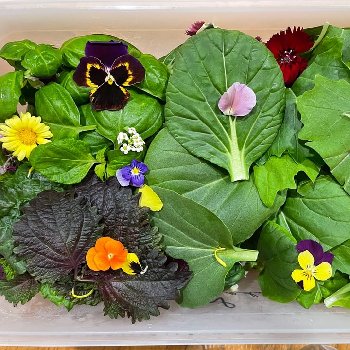 Nosh Produce Reviews | abillion