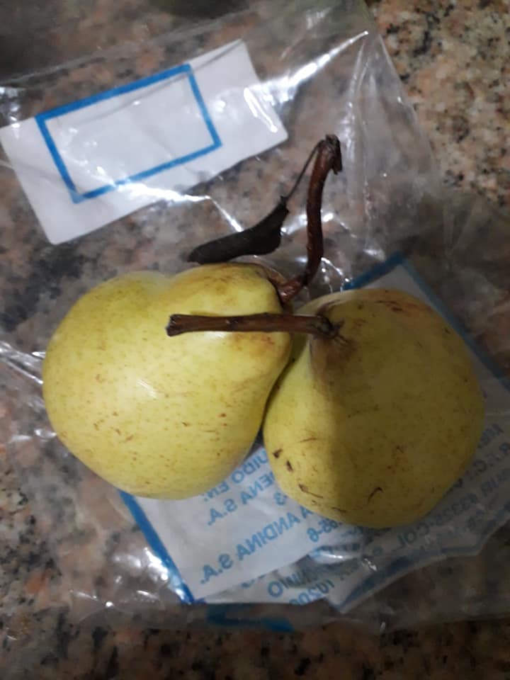 Jequitibás HortiFruti Pera Packham's Triumph Review | abillion