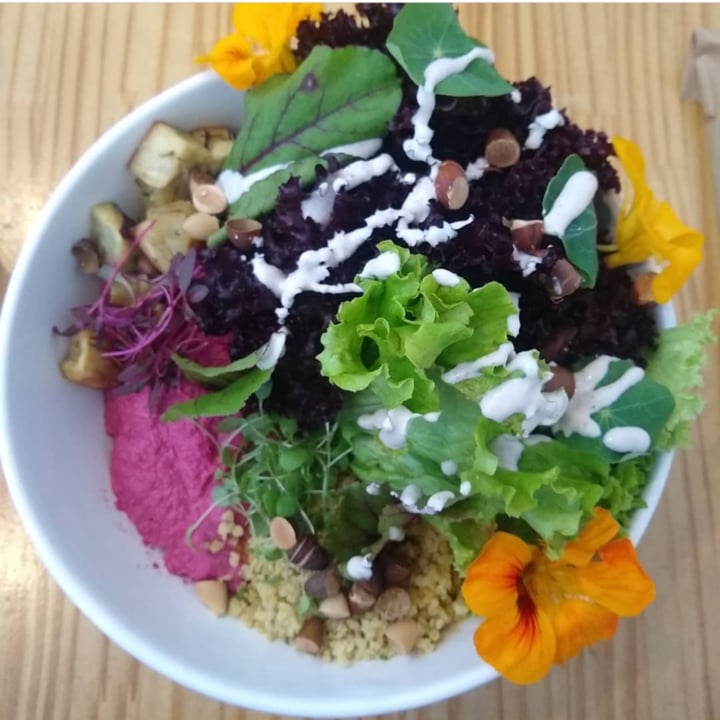 Purana.Co Pinheiros, Brazil Shiva Bowl Review | abillion