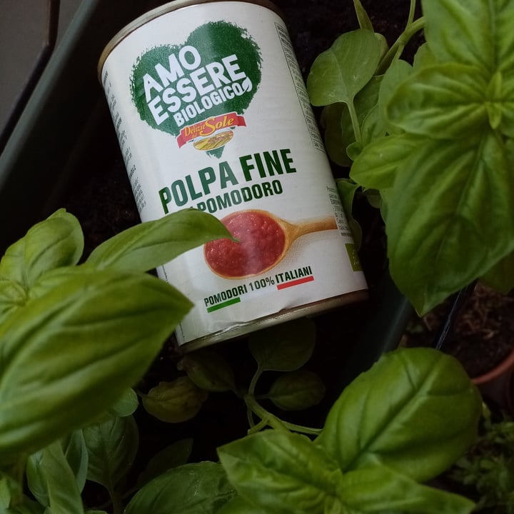 Delizie Dal Sole Polpa Fine Di Pomodoro Reviews Abillion