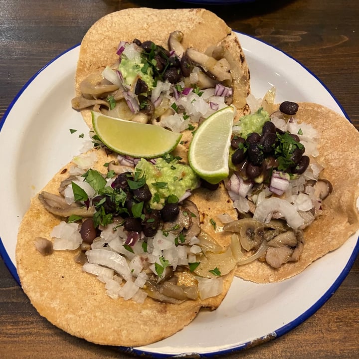 Monchito Barcelona, Spain Tacos chicharron pig-friendly Review | abillion