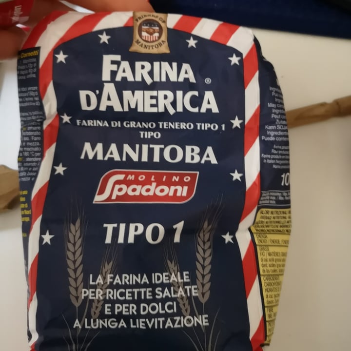 Molino Spadoni Farina d'America Review | abillion