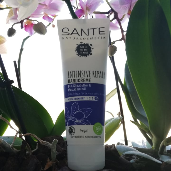 Sante Intensive Repair Handcreme Review | abillion