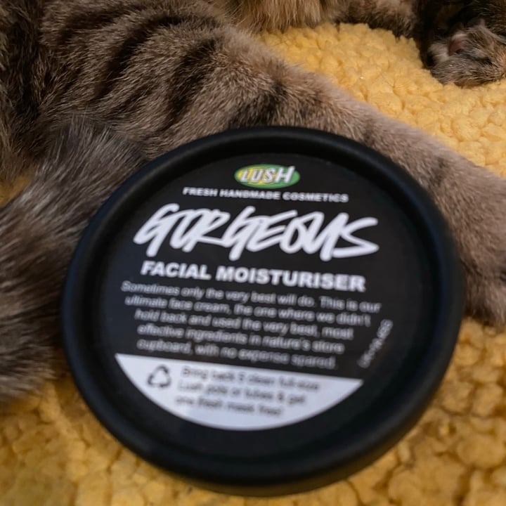 LUSH Fresh Handmade Cosmetics Gorgeous Review | abillion
