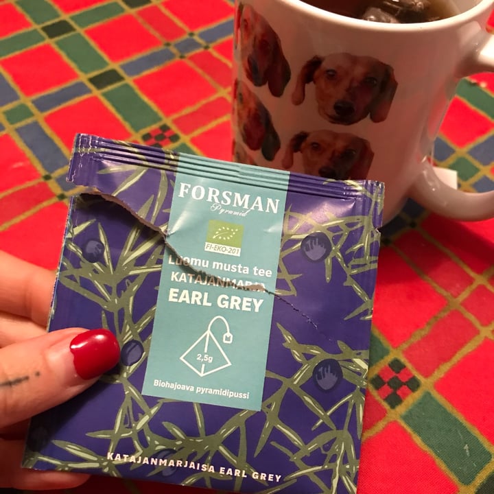 Forsman Tea Katajanmarja Earl Grey Review | abillion