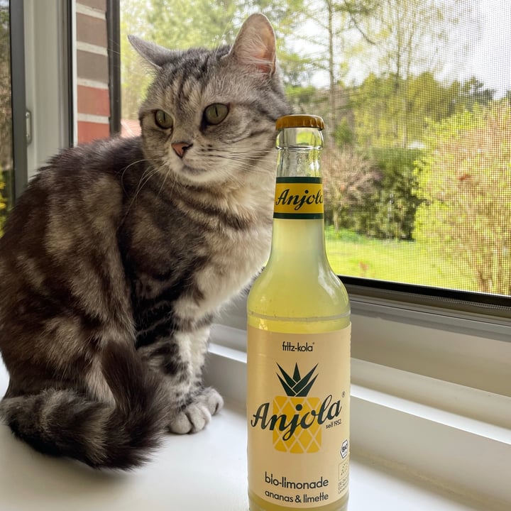 Anjola Bio-Limonade Ananas & Limette Reviews | abillion