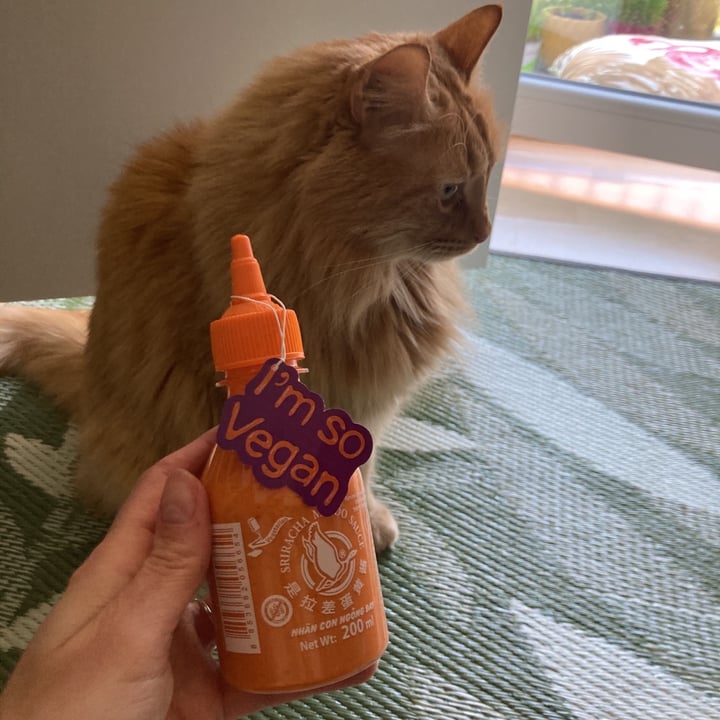 Sriracha Reviews | abillion