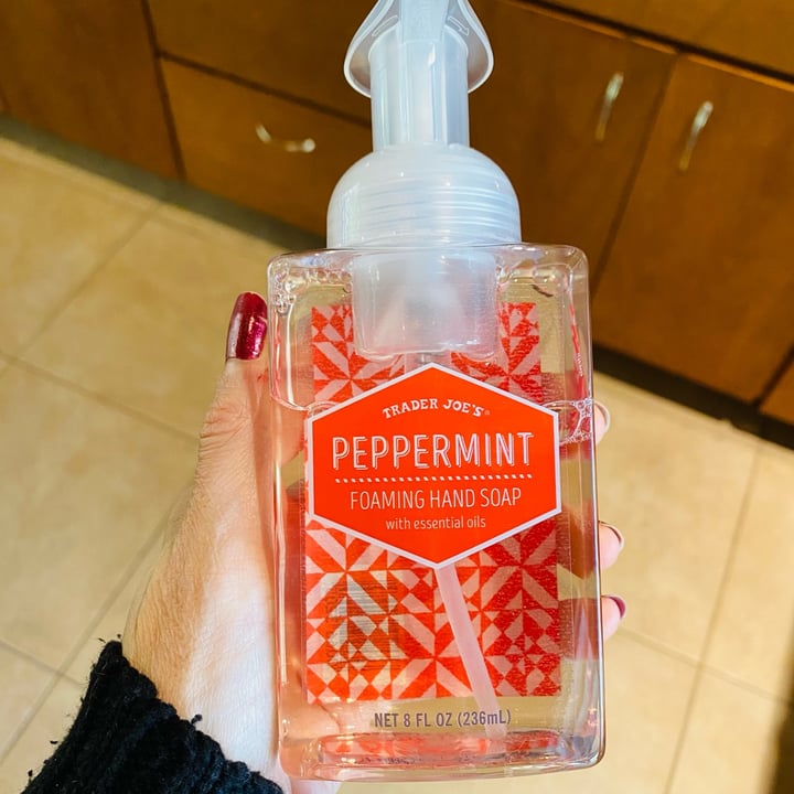 Trader Joe's Peppermint Foaming Hand Soap Review | abillion