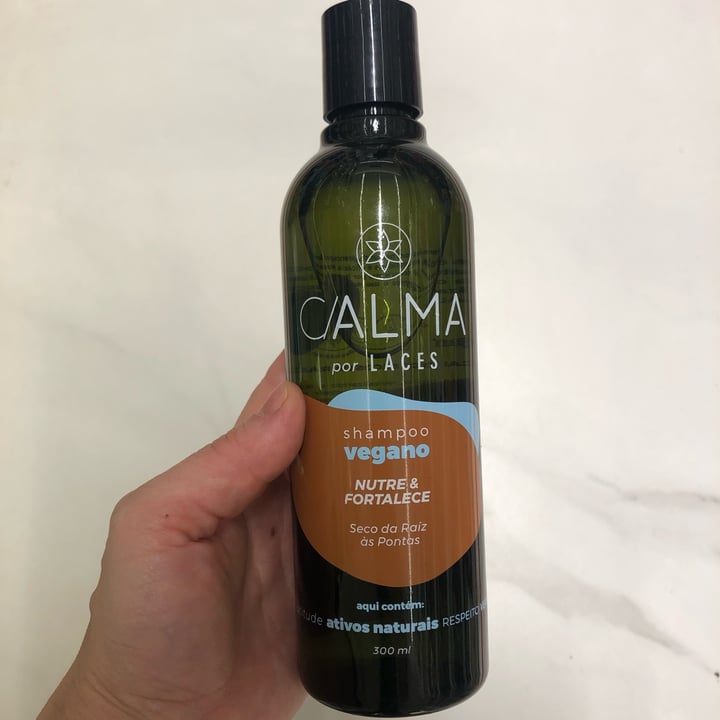 Laces Shampoo Review | abillion