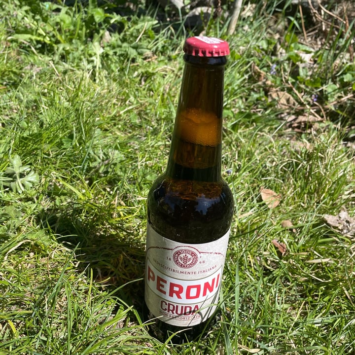 Peroni cruda Reviews | abillion