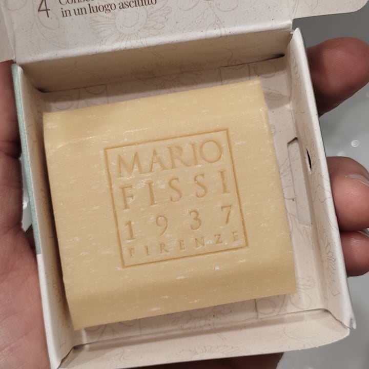 Mario Fissi 1937 Firenze Reviews | abillion