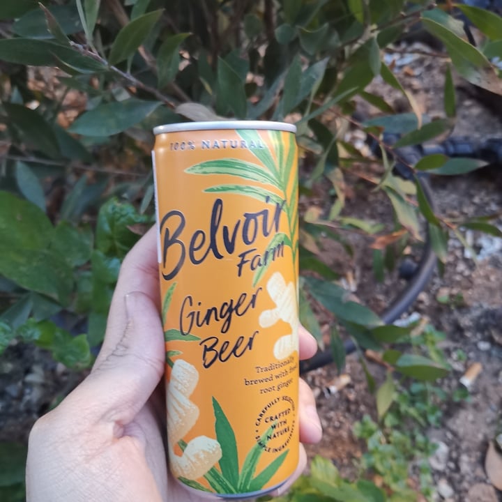 Belvoir farm Ginger Beer Review | abillion