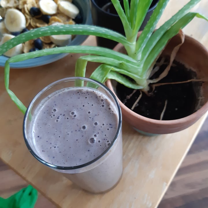 Smoothie Sidekick Reviews | abillion