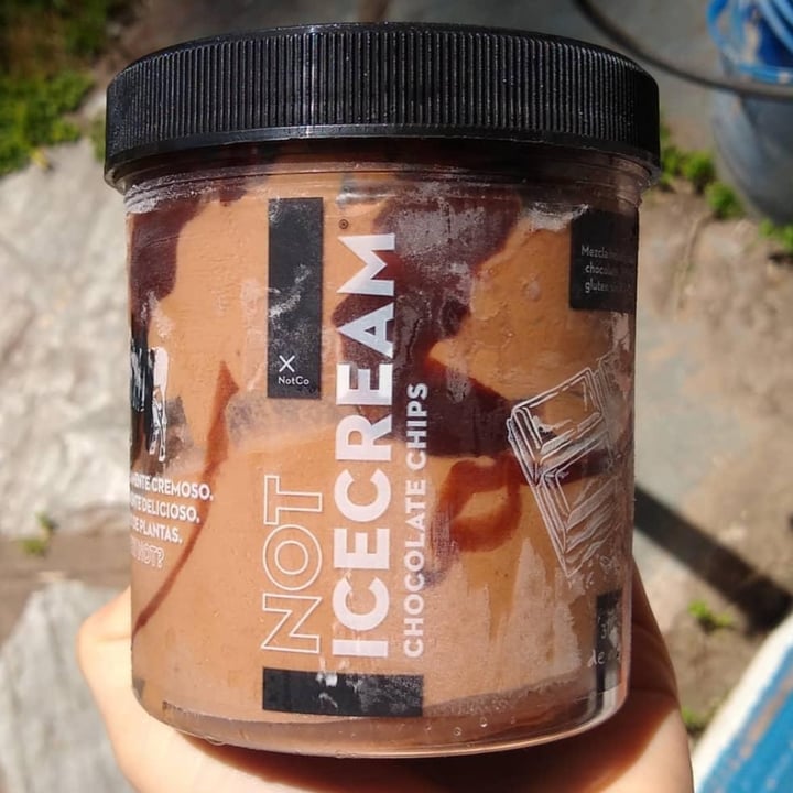 NotCo Not Icecream Chocolate Chips Review | abillion