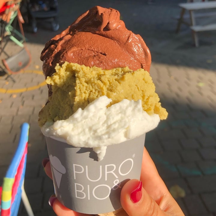 Gelateria Puro & Bio Lodi Lodi, Italy Gelato cocco, pistacchio e veleno ...