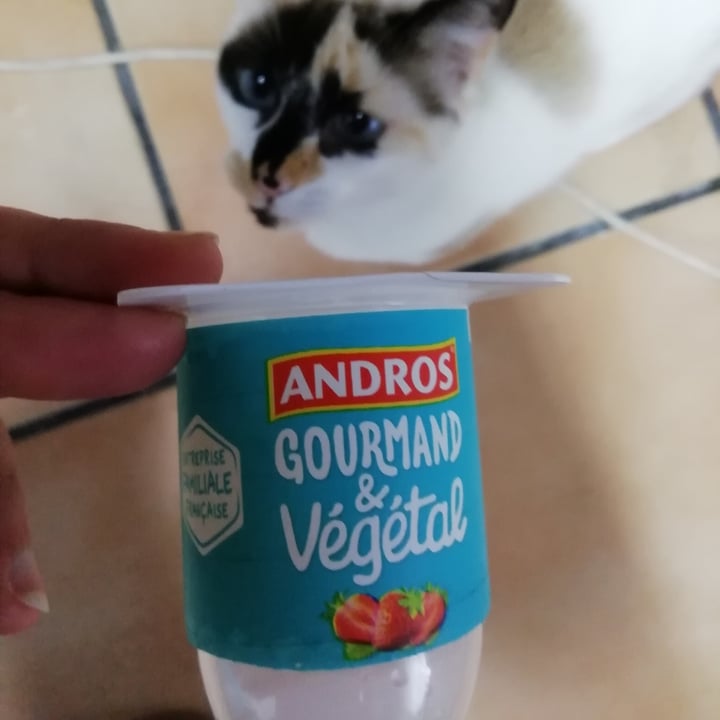 Andros Nutritious delicious strawberry Review | abillion