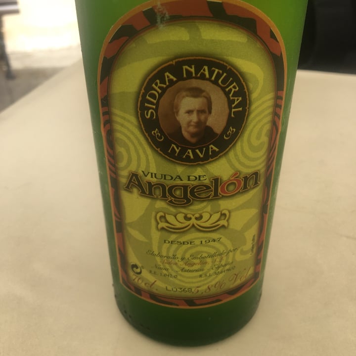 Organização do Conhecimento Ambiente com o Modelo de Angelon Um Guia ...