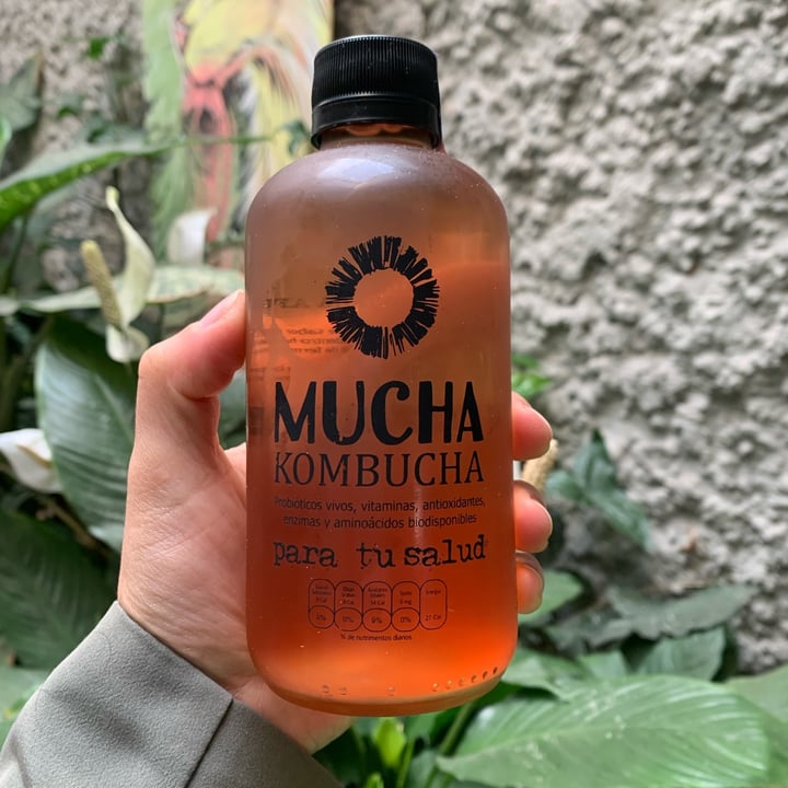 Mucha Kombucha mucha kombucha Review | abillion