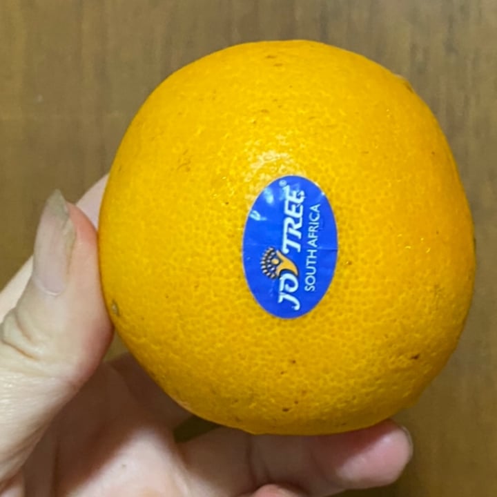 Joy Tree Reviews | abillion