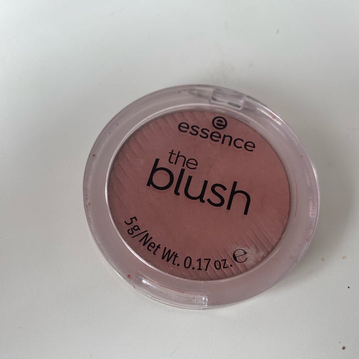 essence cosmetics The Blush (color 10 Befitting) Review | abillion