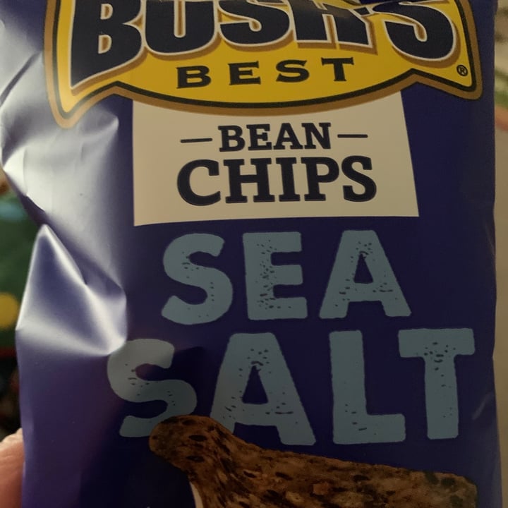 BUSH'S® Sea Salt Bean Chips Review | abillion