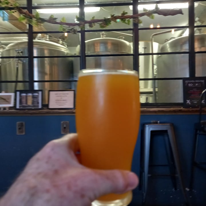 Dancing Man Brewery Electric Mango Wizard Beer Review | abillion