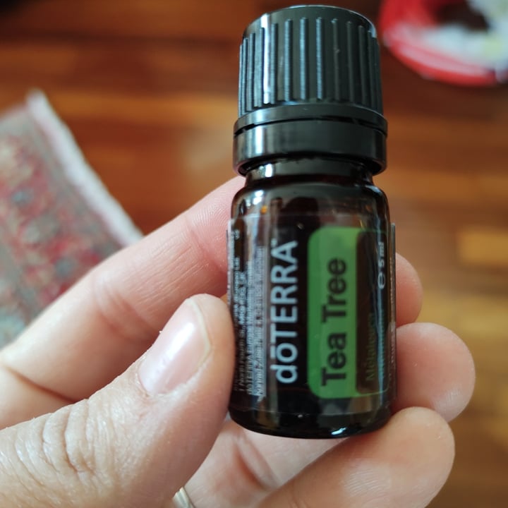 dōTERRA Melaleuca - Tea Tree - Essential Oil Review | abillion