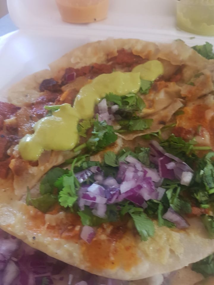 Calavegans Mexico Gringa De Pastor Review | abillion