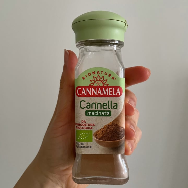 Cannamela Cannella bio Review | abillion