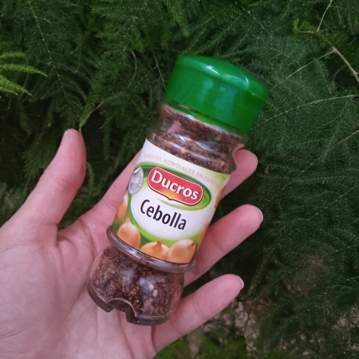 Ducros Cebolla Review | abillion