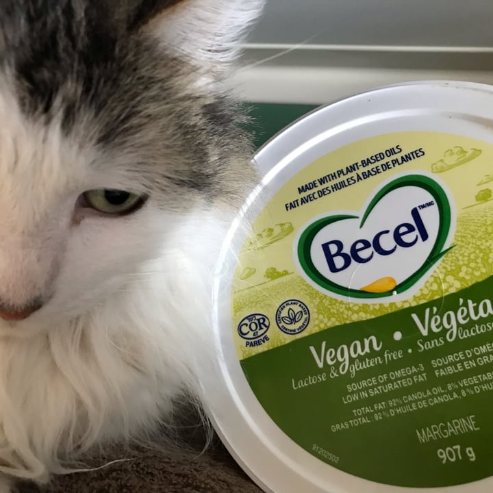 Becel Becel Vegan Review | abillion