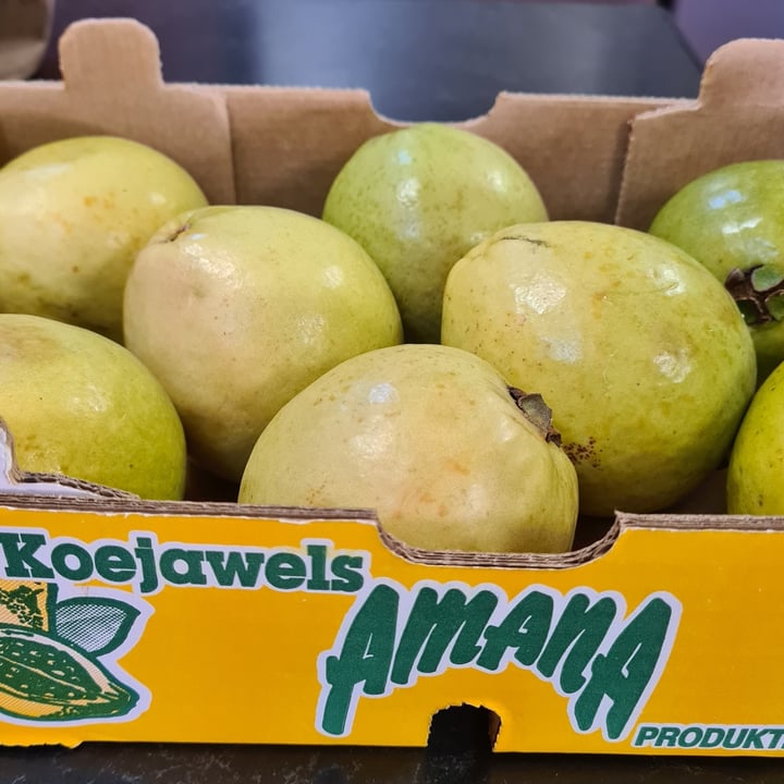Amana Boerdery Guava Review | abillion