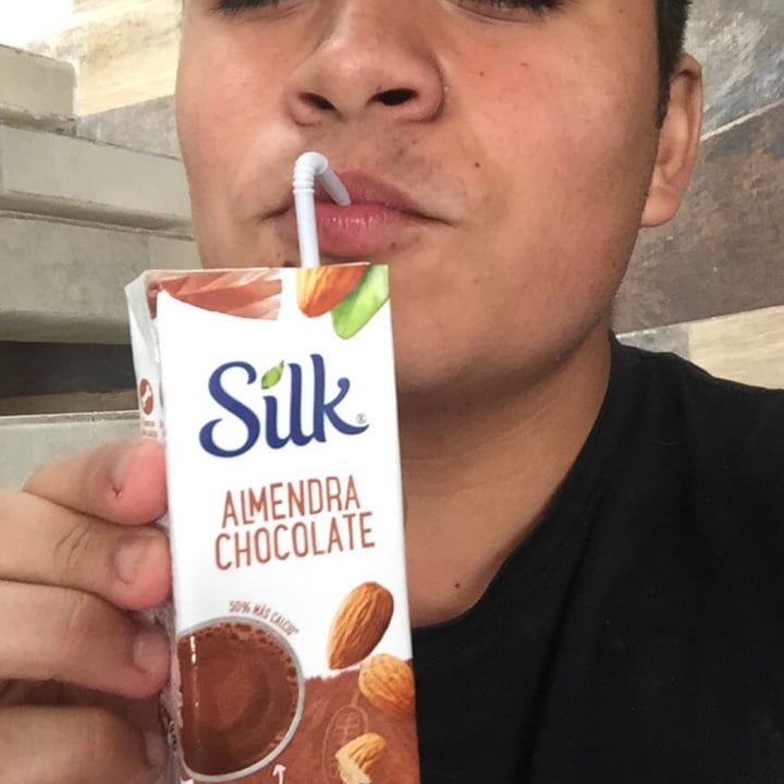 Silk Leche de Almendra sabor Chocolate 190ml Review | abillion