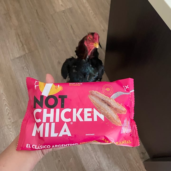 NotCo Not Chicken Mila Review | abillion