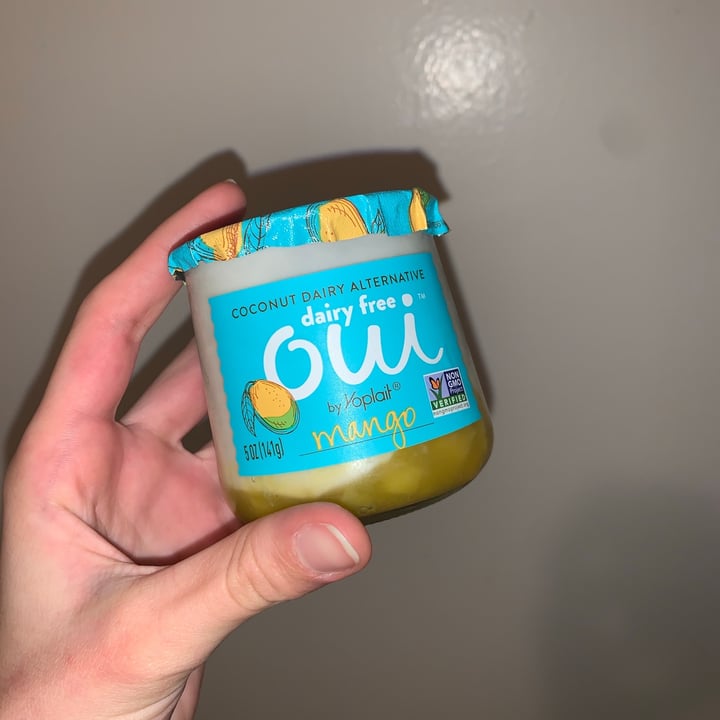 Yoplait Dairy Free Oui Mango Review | abillion