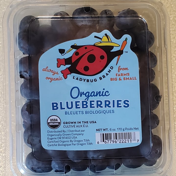 Ladybug Brand Organic blueberries Review | abillion