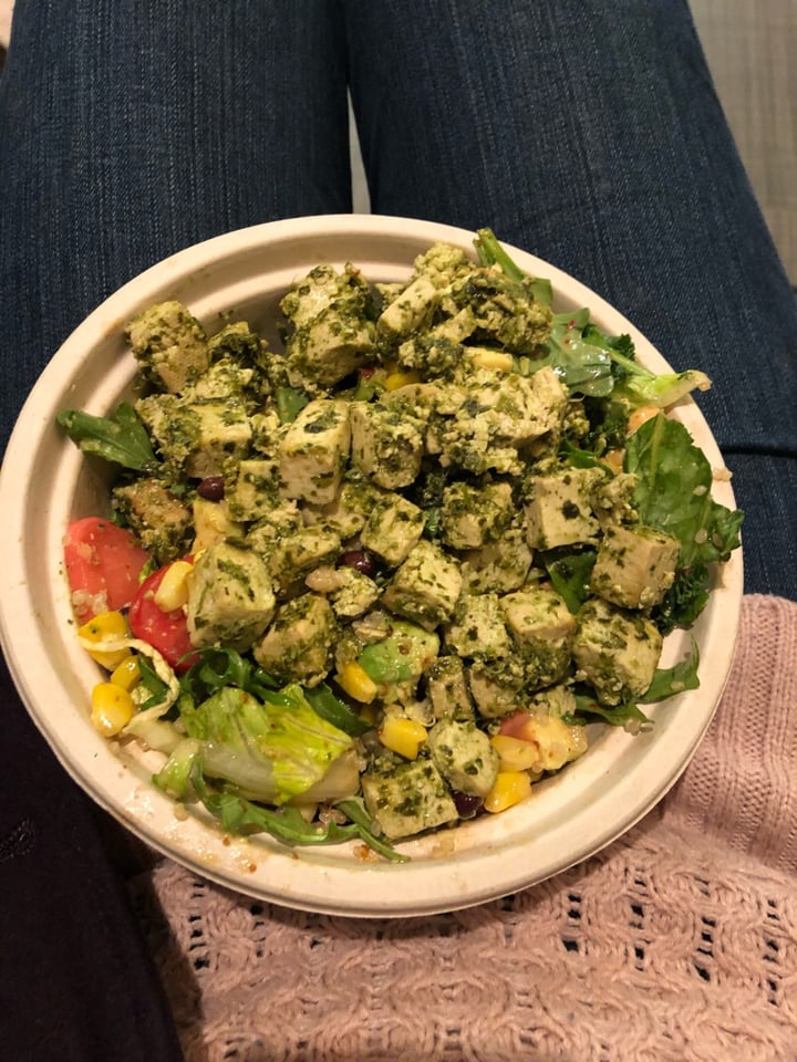 Mad Radish Downtown, Ottawa, Canada Build Your Own Salad Review | abillion