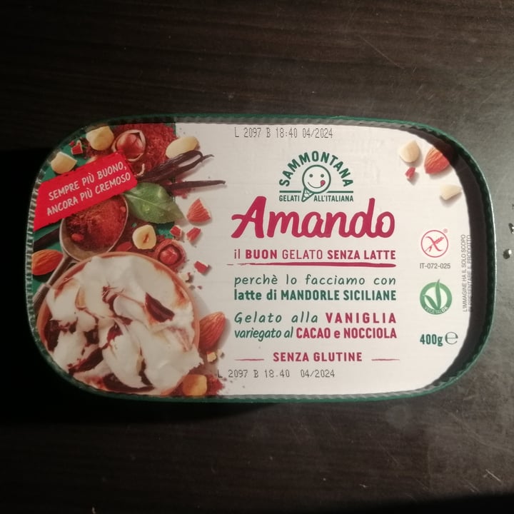 sammontana amando Gelato alla Vaniglia variegato al Cacao e Nocciola Review | abillion