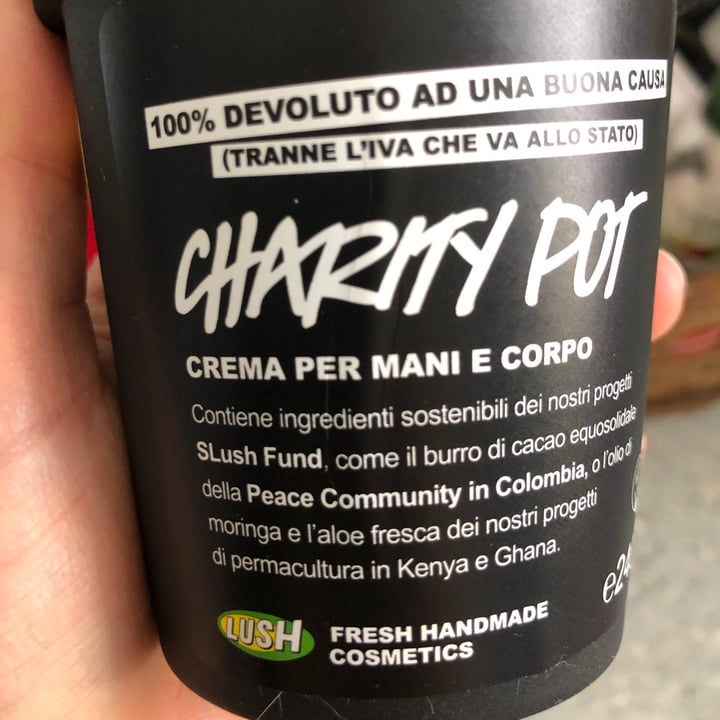 LUSH Fresh Handmade Cosmetics Charity Pot Review | abillion